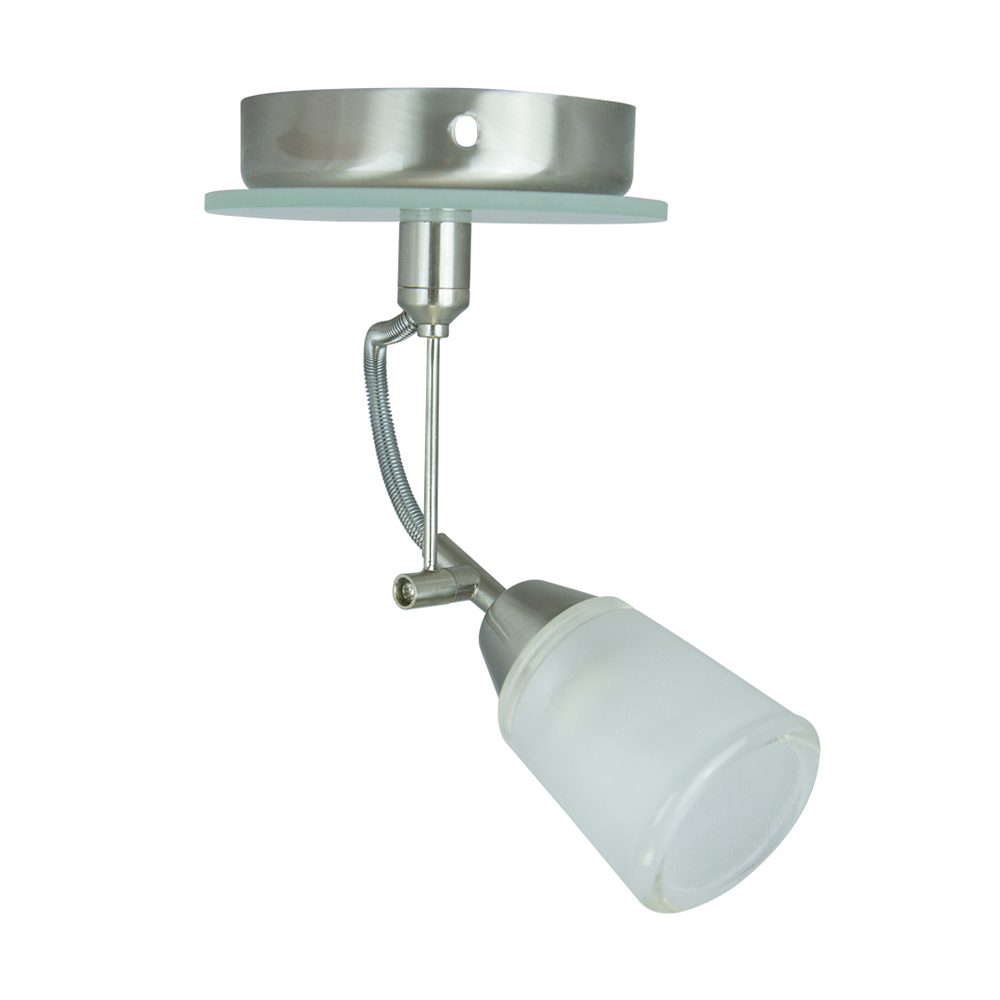 Lámpara Plafón de Color Níquel Satinado 1 Luz | Grupo Lumimexico